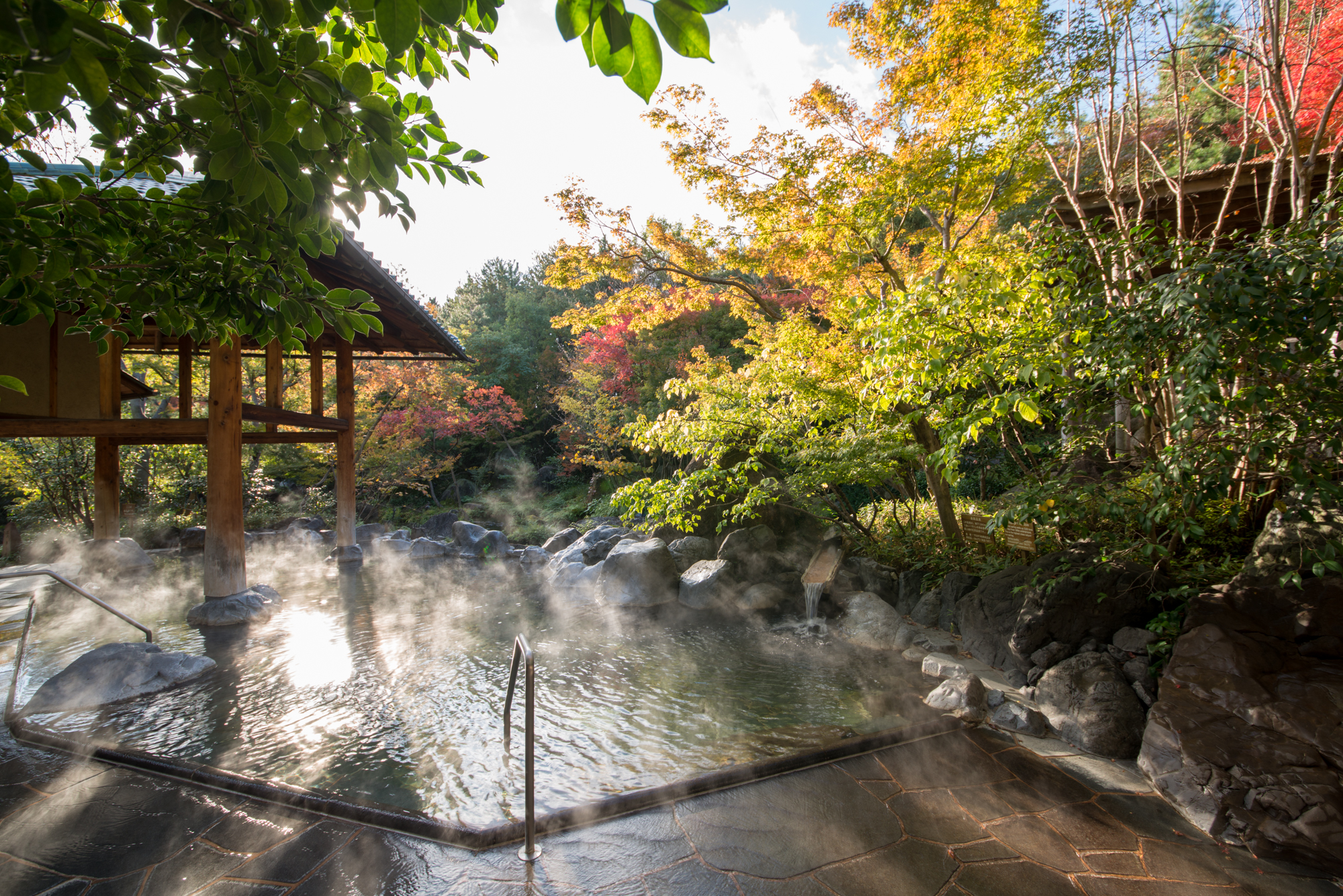 LIMONBUS | プラン一覧